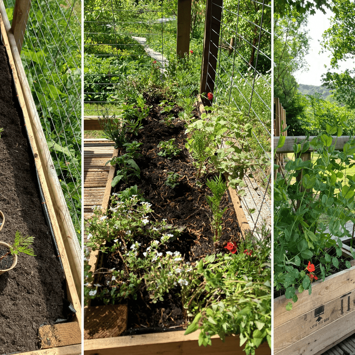 Supporting People and the Planet: Discover Outside Lives with Dandy’s ...