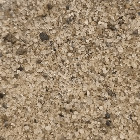 Dandy's Lawn Sand Dressing for lawns | Fast Nationwide Delivery – Dandy ...