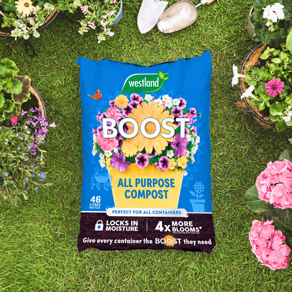 Boost All Purpose Compost 46ltr | Nationwide delivery – Dandy's Topsoil ...