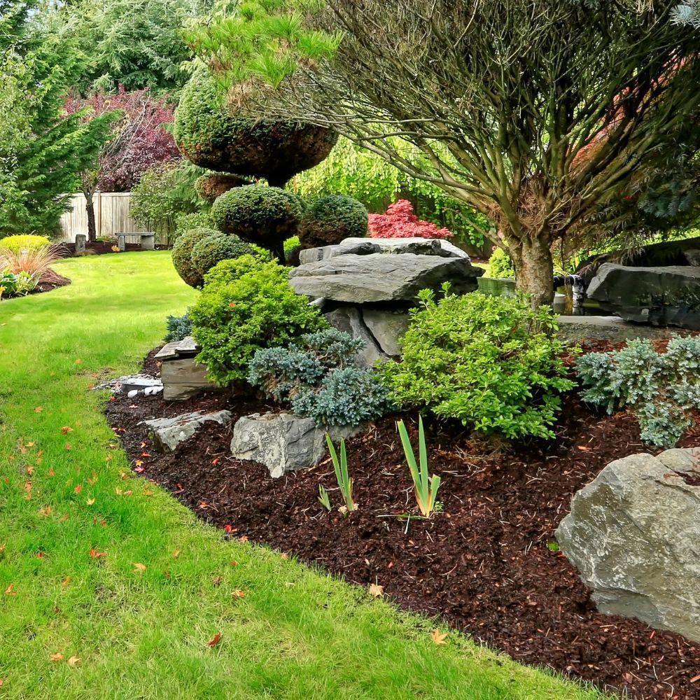 Landscaping Bark In Yard