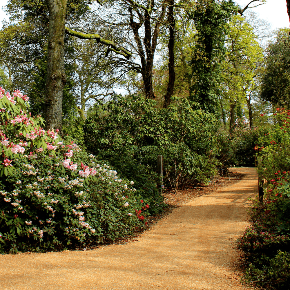 Hoggin Self Binding Gravel, Goldpath | FAST Nationwide Delivery – Dandy ...