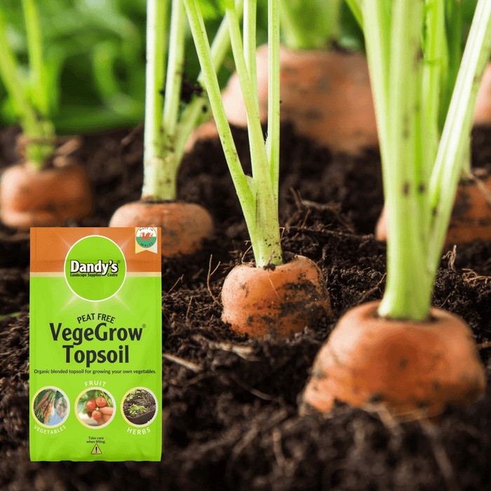 Dandy's Organic Peat Free VegeGrow® Topsoil for vegetables | Dandy's ...