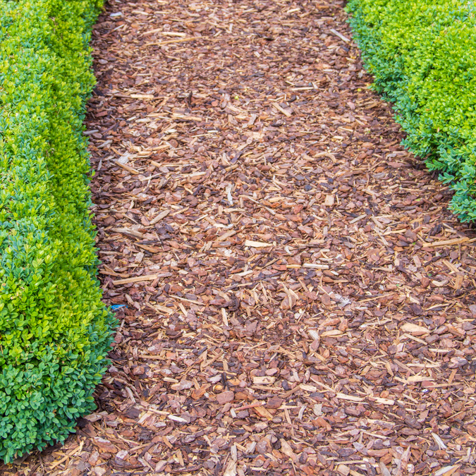 Premium Border Bark Mulch Chippings for sale | Nationwide delivery ...
