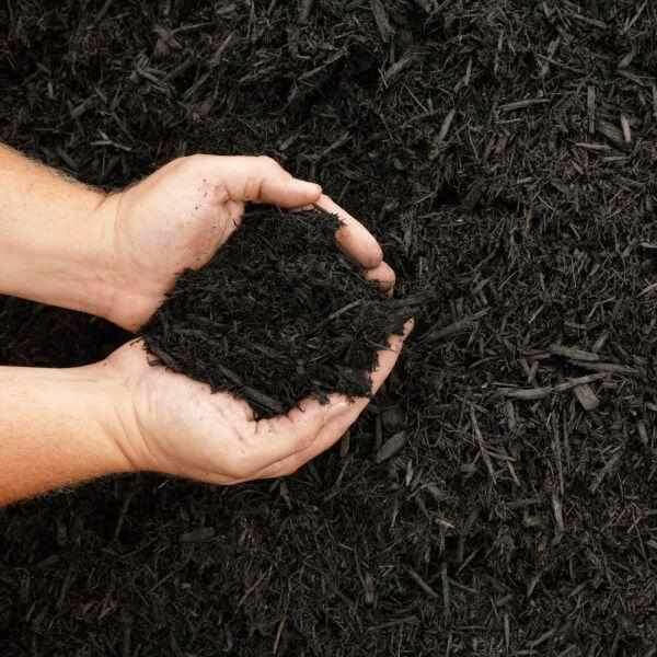 Dandys Soil Improver Compost For Sale | Fast Nationwide Delivery ...