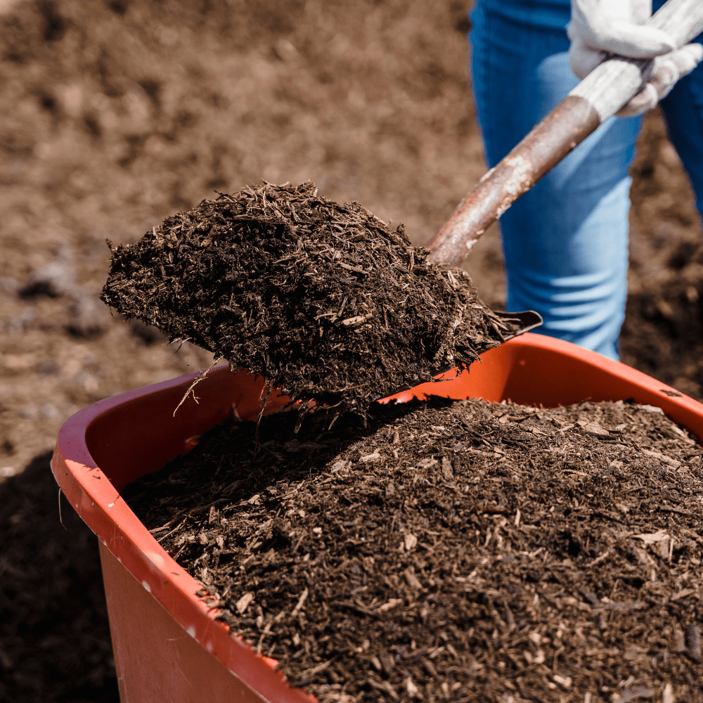 Composted Mulch Bark Fines | Dandy's Topsoil & Landscape Supplies